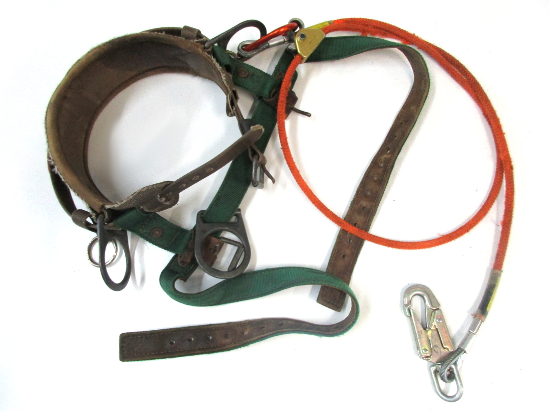 Buckingham Fall Protection 1340