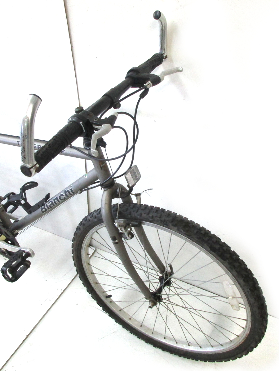 Bianchi Hybrid Timber Wolf