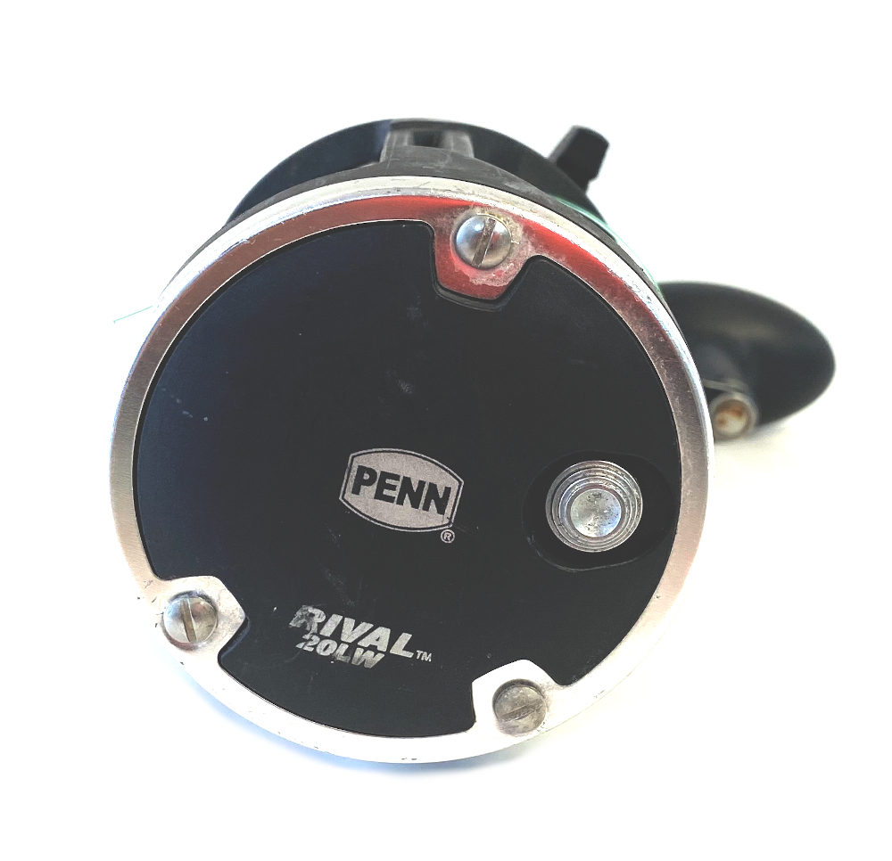 Penn Reel Rival 20LW