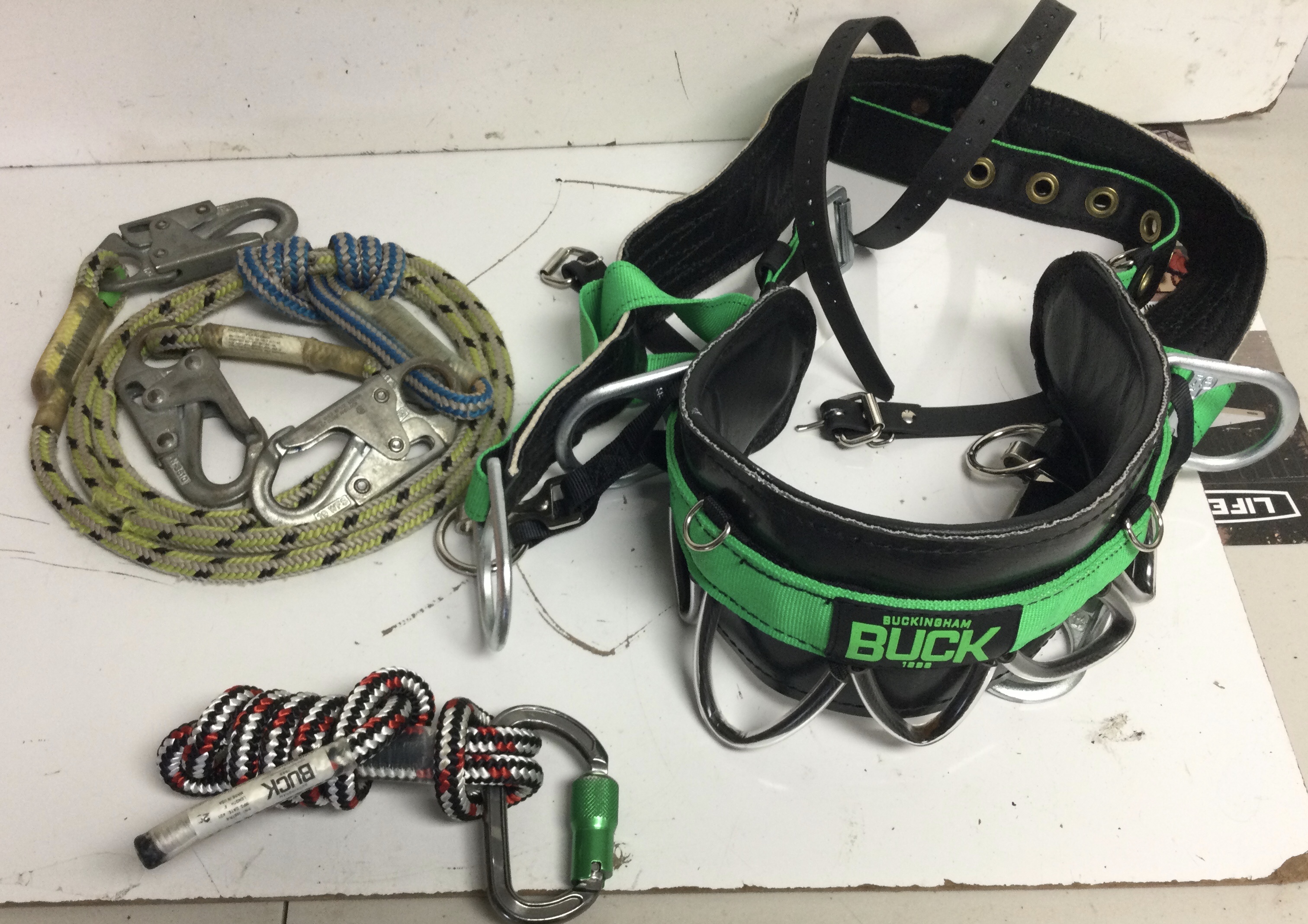 Buckingham Fall Protection 1371