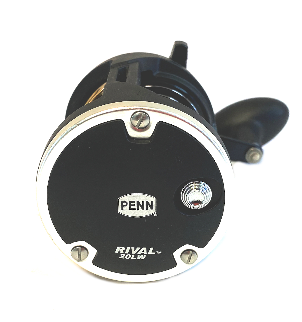 Penn Reel Rival 20LW