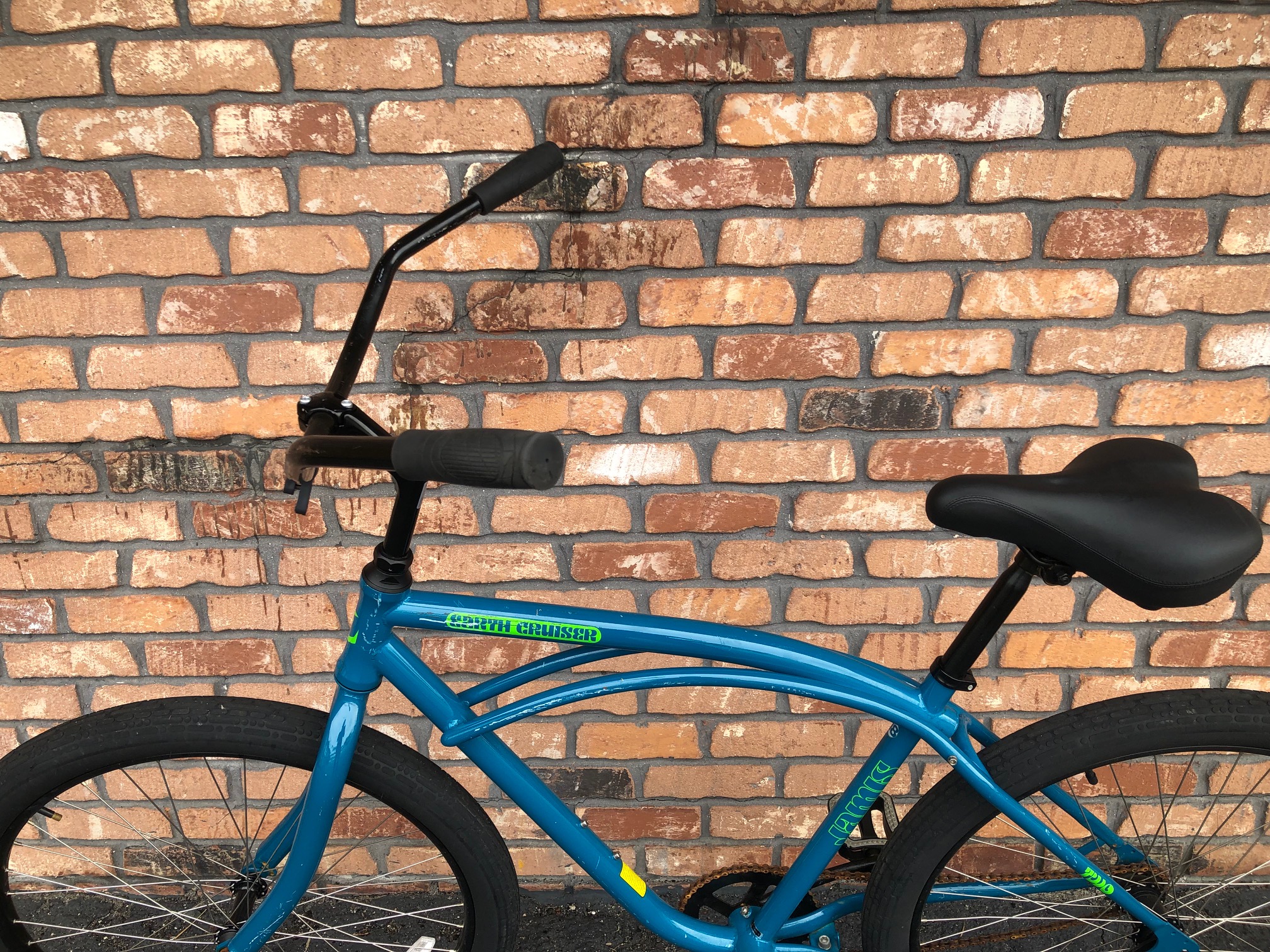 Jamis Beach cruiser Earth Cruiser