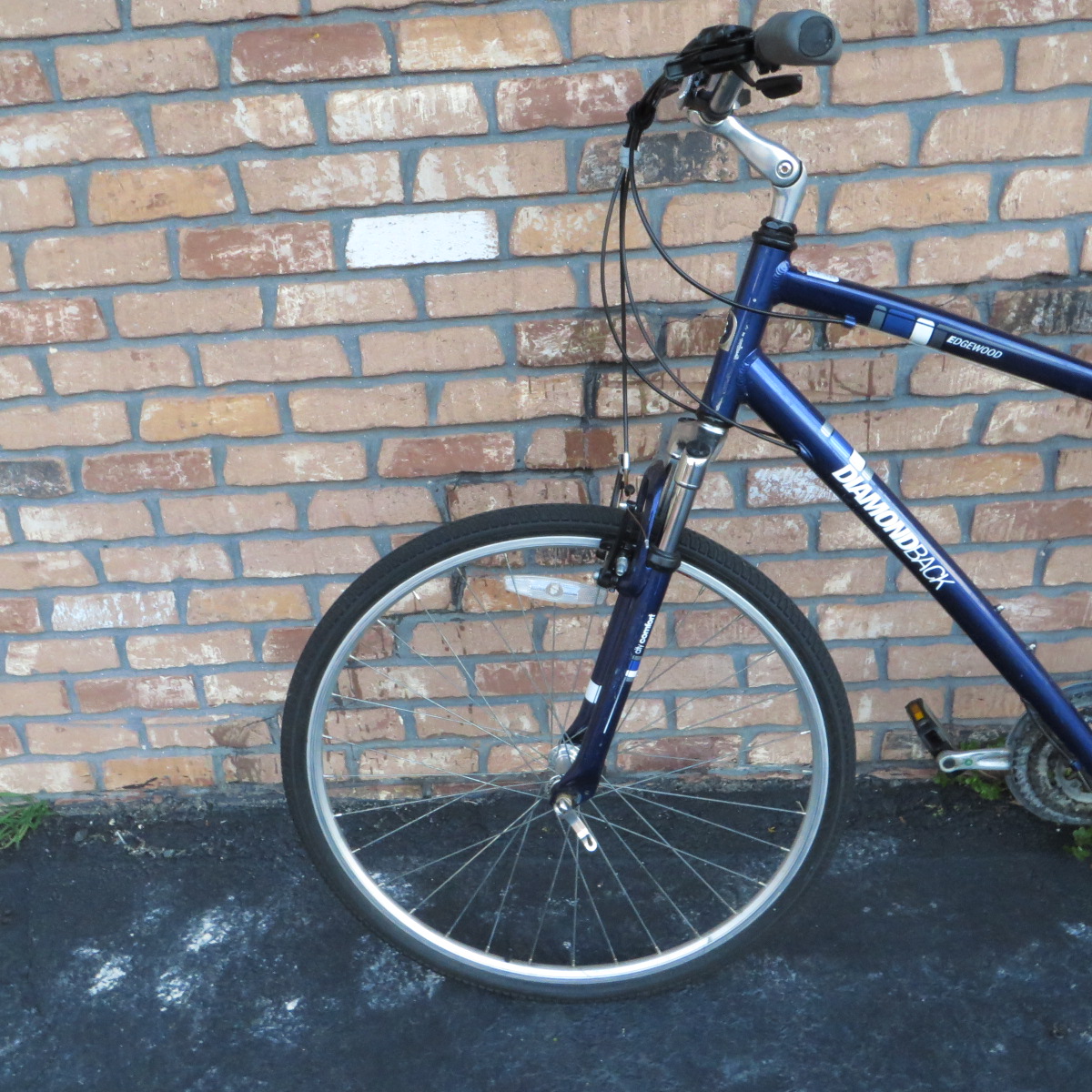 Diamondback Hybrid Edgewood