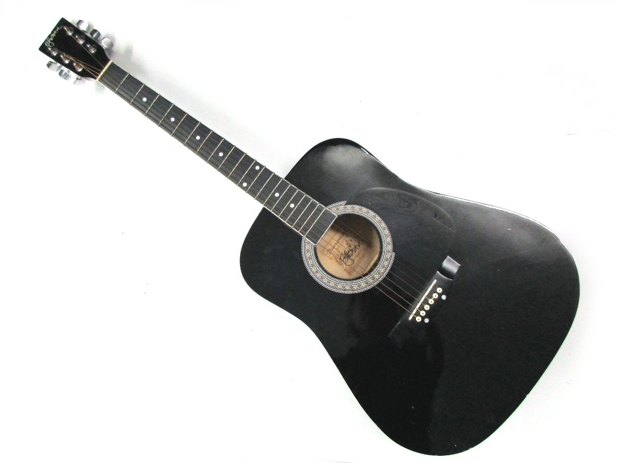 Burswood Guitar - Acoustic Acoustic Guitar