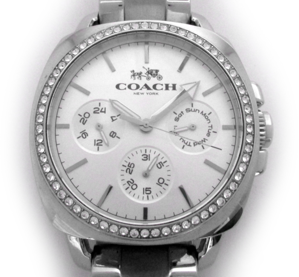 Coach Wrist watch CA.09.7.14.0896S